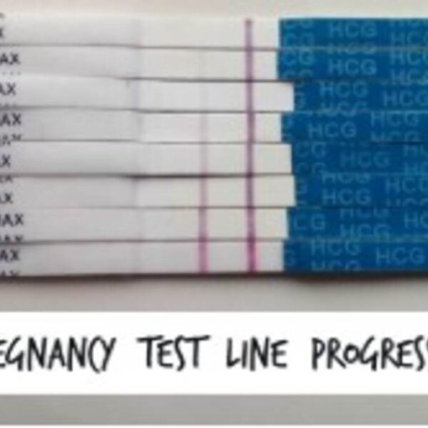 Pregnancy Test Line Progression: What It Means and What to Expect ...