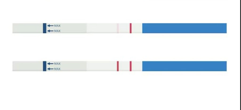 Pregnancy Test Line Progression: What It Means and What to Expect ...